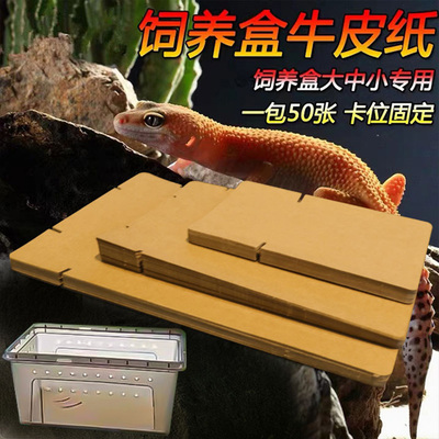 爬宠爬虫饲养盒牛皮纸垫材