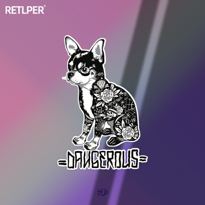 卡通行李箱笔记本反光车贴