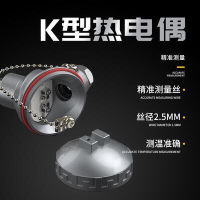现货速发耐高温K型热电偶监视器2520材质WR-10/20/40不锈钢温度感