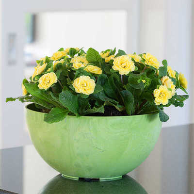 虹越Artstone仿石仿水泥花纹树脂圆钵型多色简约轻便环保种植花盆