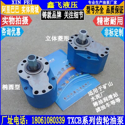 齿轮泵TXCB-B63 B80 /2.5稀油站泵TXCB-B63F加油泵TXCB-B80F