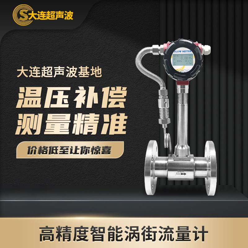 德国品质街流量计蒸汽管道液v体压缩空气天然气高精度水油气体流