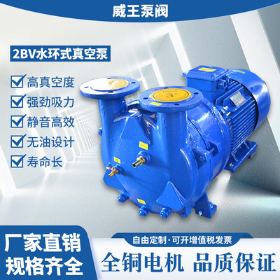 2BV2071铸铁水环式真空泵全系列