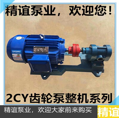 高温电动齿轮泵2CY1.08/2.5,2.1/2.5,3/2.5自吸泵齿轮油泵整机