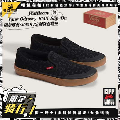 VansxSlip-On联名低帮骑行鞋