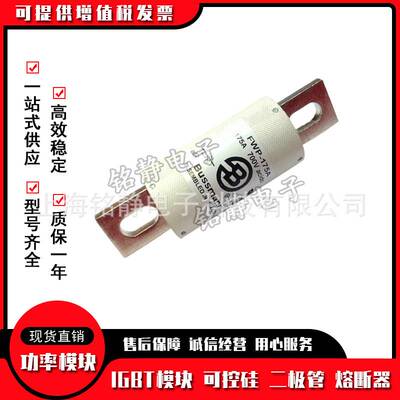 熔断器250GH-250UL 250GH-315UL 250GH-350 250GH-400