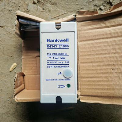 R4343 E1006 火焰控制器 Hankwell工业工控配件议价维修