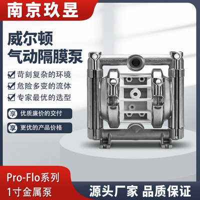 WILDEN威尔顿气动隔膜泵P2/AAPPP/BNS/BN/ABN/2014