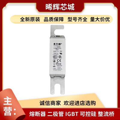 直流熔断器170M1315170M1316电子元器件库存充足量大从优现货