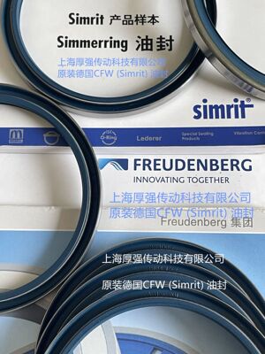 德国CFW/Simrit/FREUDENBERG油封