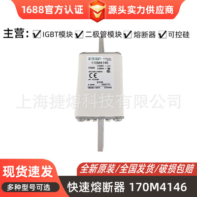 170M4146  170M4194 快速熔断器  电子元器件 库存充足 量大价优