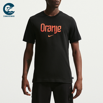 Nike/耐克正品夏季男士训练圆领经典轻盈透气短袖T恤IH2190-010