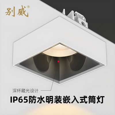 别威IP65防水防雾嵌入式筒灯