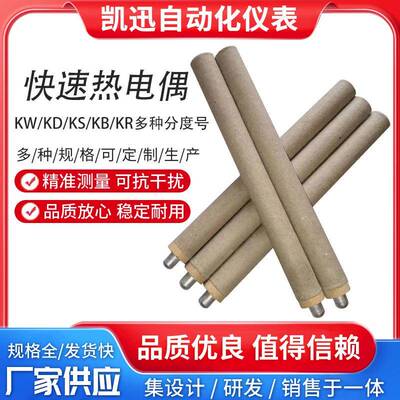 炉前熔炼钢水测温仪一次性快速热电偶KDKW-602P-300钨铼KSKB铂铑