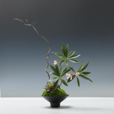 新中式永生花花藓仿真绿苔植花艺装饰HWA店铺酒店样板间器插盆景