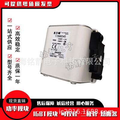 170M6500170M6501170M6644170M6645170M6646巴斯曼熔断器现货