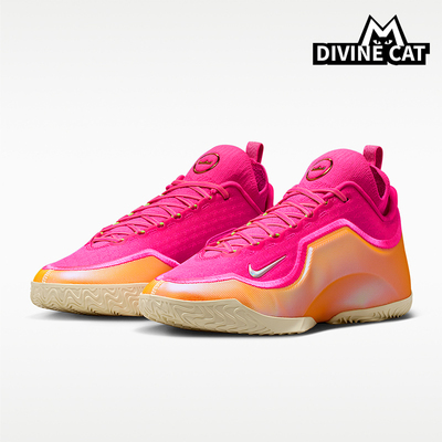 Nike/耐克正品四季款男士训练时尚透气经典缓震篮球鞋IR0071-601