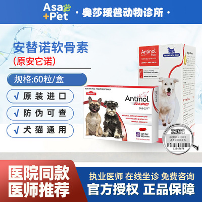 安它替诺宠物关节软骨素