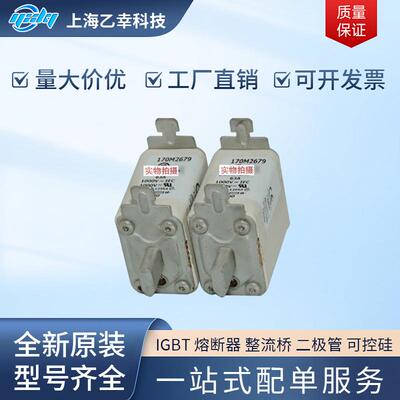 巴斯曼熔断器170M2666170M2667170M2668170M2669170M2670