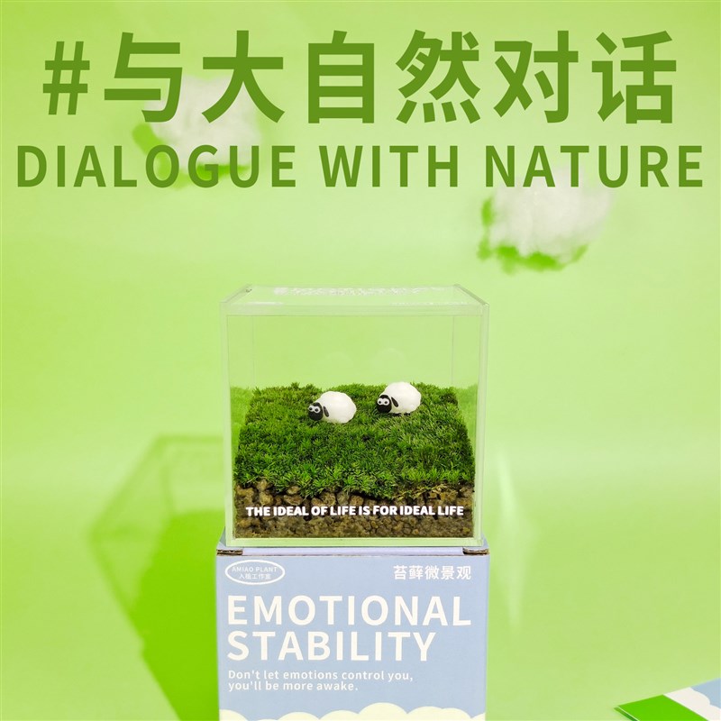 入植苔藓私人草坪微m景观办公室桌面情绪稳定植物生态瓶盆栽送礼