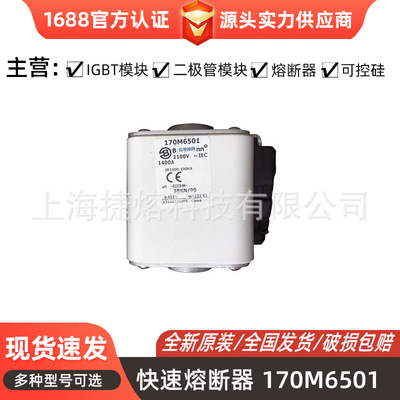 170M6501 170M6540 快速熔断器  保险丝 电子元器件 量大价优