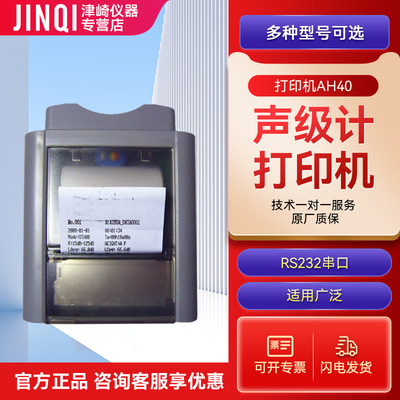 杭州爱华打印机AH40声级计打印机AWA5688 5680 6228+噪音计打印机
