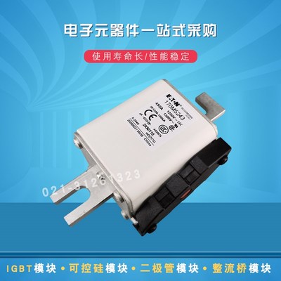 熔断器保险丝170M5246 5247 5248 5249 5250 5257 5258 5259 5260