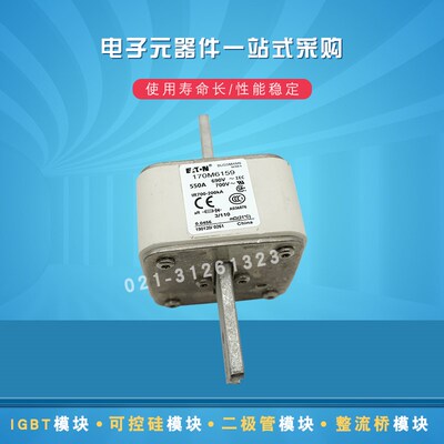 巴斯曼熔断器170M6160 6162 6162 6163 6164 6165 6166 6167 6168
