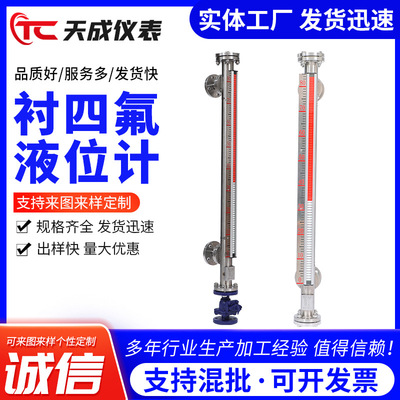 衬四氟磁翻板液位计 防腐型磁翻板液位计   内衬四氟磁翻板液位计