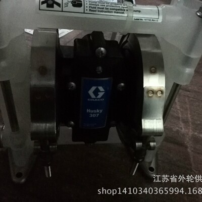 604918 Double diaphragm pump 气动隔膜泵