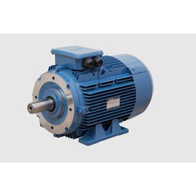 供应土耳其GAMAK电机GM2EAGM2EGM3EAGM3E系列电动机铸铁铝壳