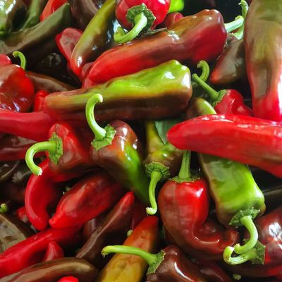 新鲜花辣椒农家种植现摘现发肉厚青辣椒红辣椒微辣炒菜蔬菜大菜椒