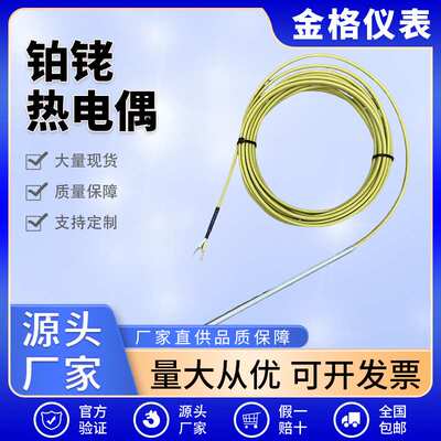 S型B型R型铂铑热电偶耐高温WRP/WRR温度传感器