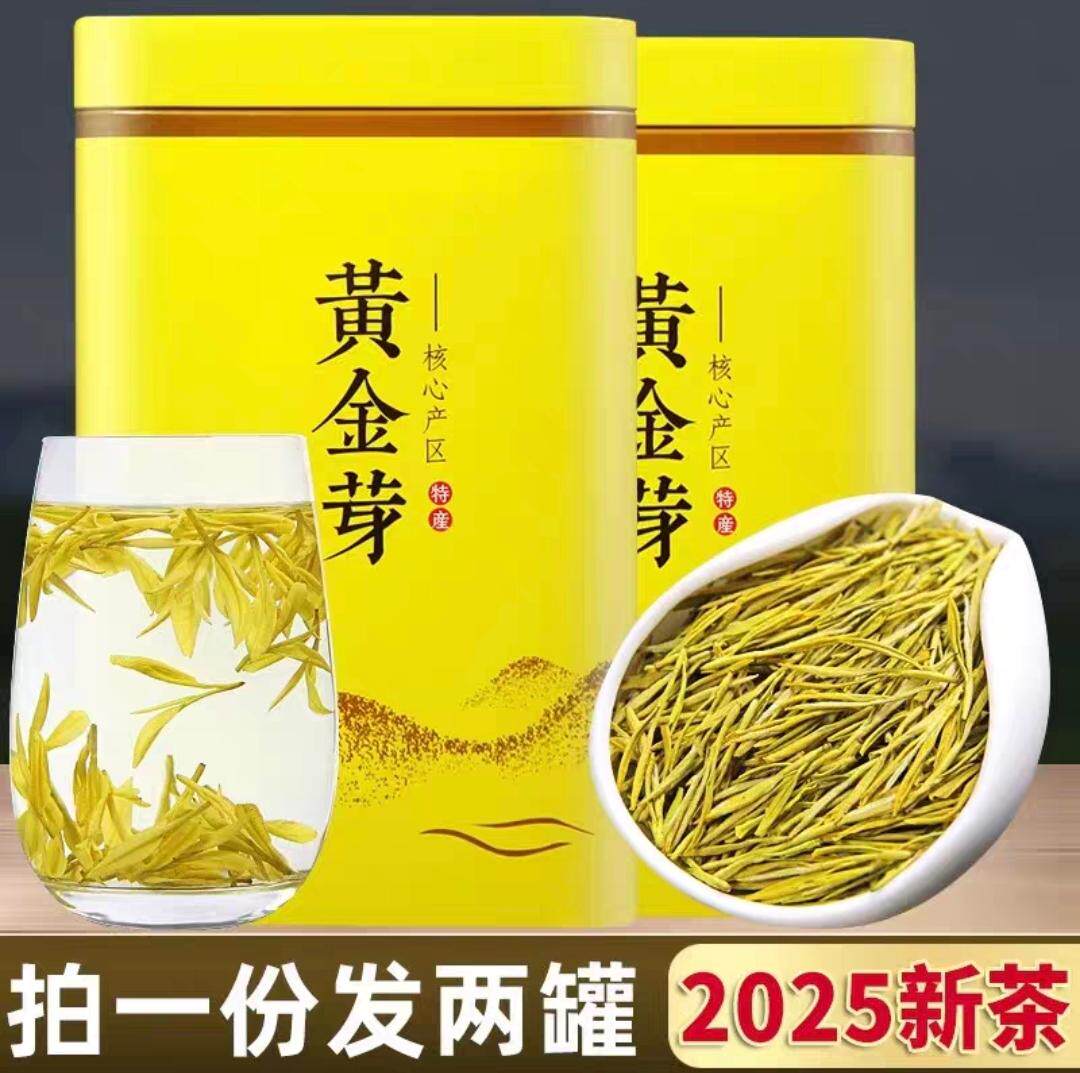 正宗黄金芽茶叶2026新茶雨前手采安吉茶树白茶绿茶250g礼盒罐装