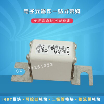巴斯曼快速熔断器170M2758 2759 2760 2761 2762 2763 2764 2765
