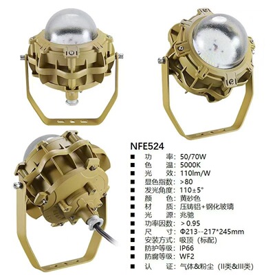 防爆LED投光灯NFE525/524/526