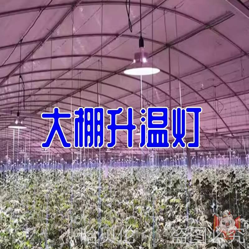 灯升温生长花卉大鹏增温灯补光灯温室蔬菜取暖器草莓大棚种植其他
