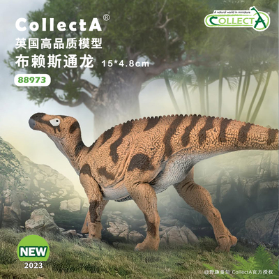 CollectA布赖斯通龙动物模型玩具