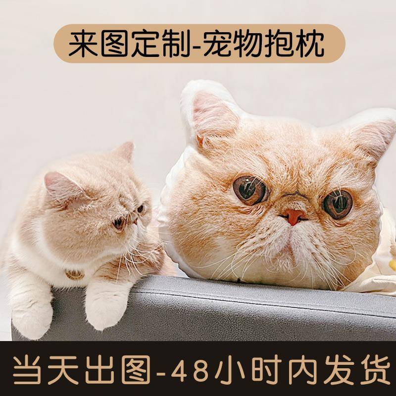 异形丑抱枕做无白边外形毕设丑猫照片猫狗玩偶双面diy做枕头