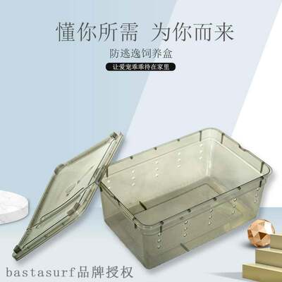 极速Reptile climbing pet snake Python palace keeping spider