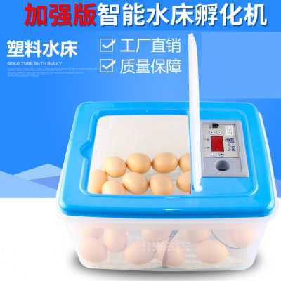 好货新品32枚鸡蛋实用设备全自动小鸡抱蛋机小型家用孵化器泡沫水