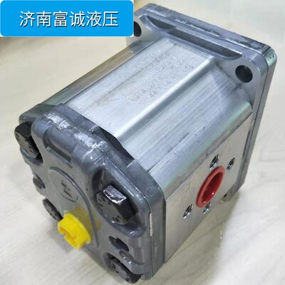 Turolla齿轮泵SNP1NN/6 0LN01BAP1C3C3NNNN/NNNNN液压油泵Danfoss