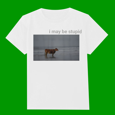 TEH COW I MAY BE STUPID T-SHIRT趣味搞笑牛愚蠢短袖T恤男2026夏