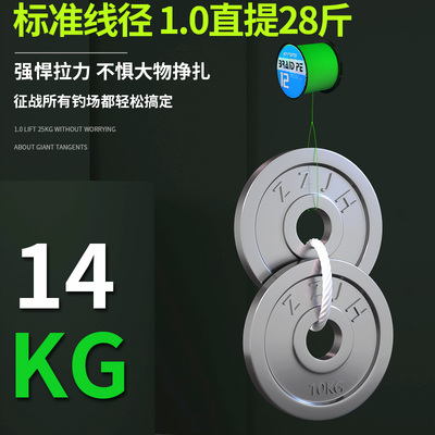 日本进口12编ygkpe路亚线超顺滑强拉力沉水远投大力马pe线主线