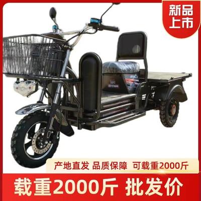 农用新款载重王电动三轮车载货快餐拉客快递爬坡王家用送货车