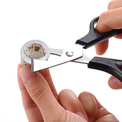 极速Birds Quail Egg Scissors Cutting Opener Cutter Kitche
