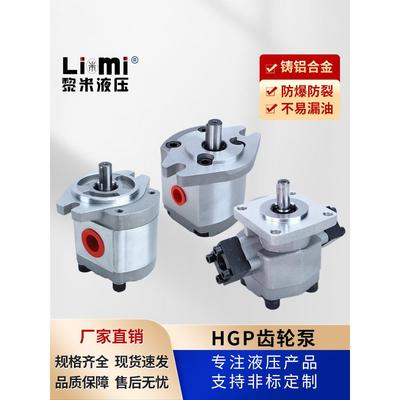 新鸿款液压齿轮泵HGP-1A/2A3A全系列GPY-F2R~F12R系列高压齿轮泵