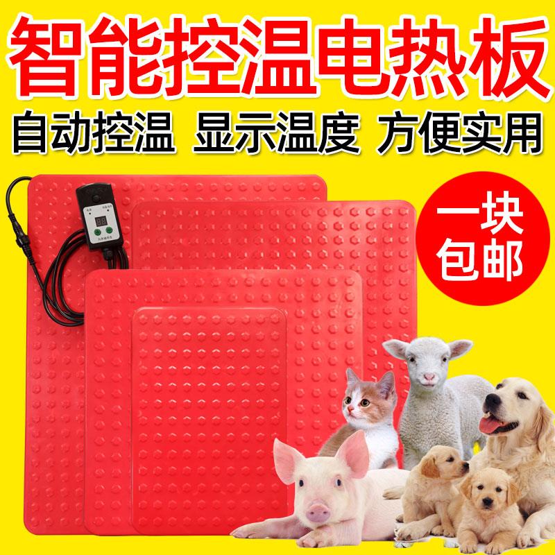 宠物电热板仔猪保温板狗用电热板蛇猫加热毯小型动物取暖设备调温