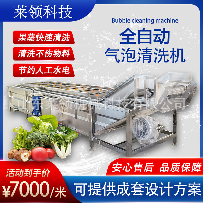 气泡果蔬清洗机 白菜鼓泡喷淋式气泡清洗设备 大型净菜加工流水线