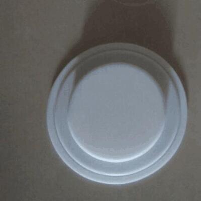 PROMINENT 型号S1BAH 04120PVT0000M000 膜片